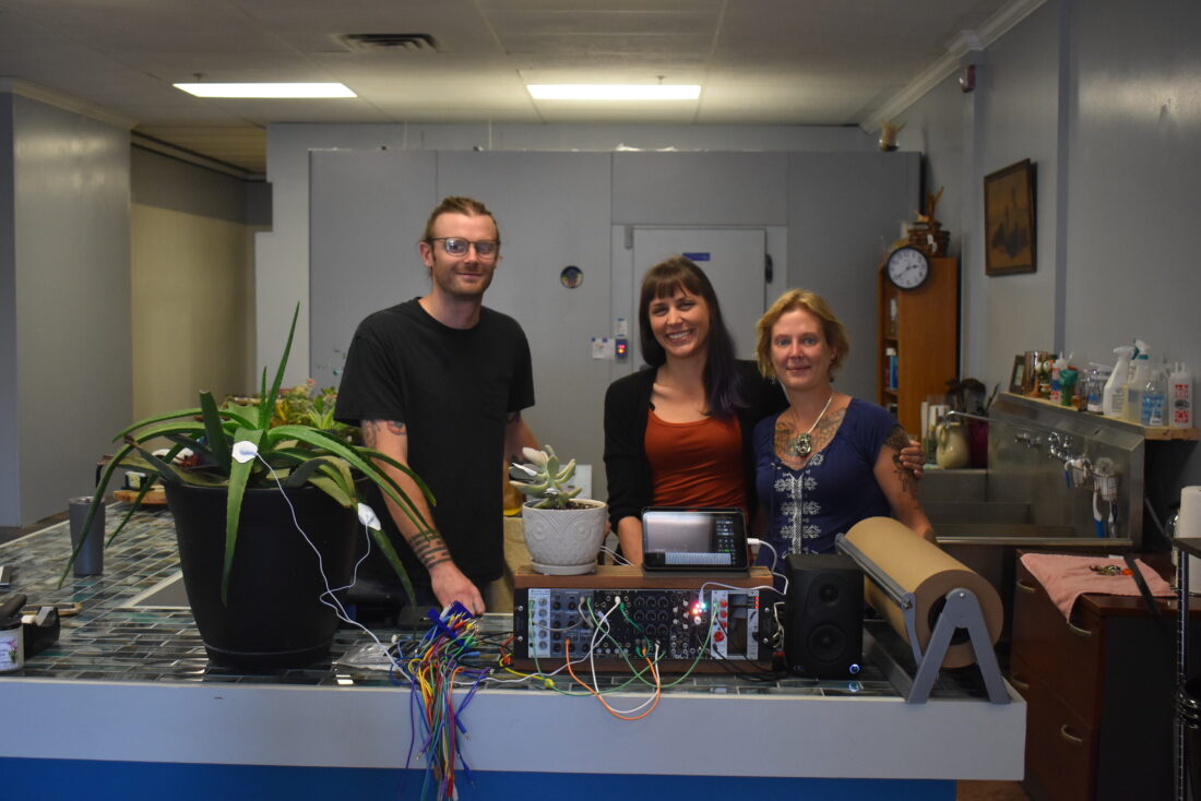 Bloom Buddies Flower Shop Creates Plant Band | News, Sports, Jobs ...